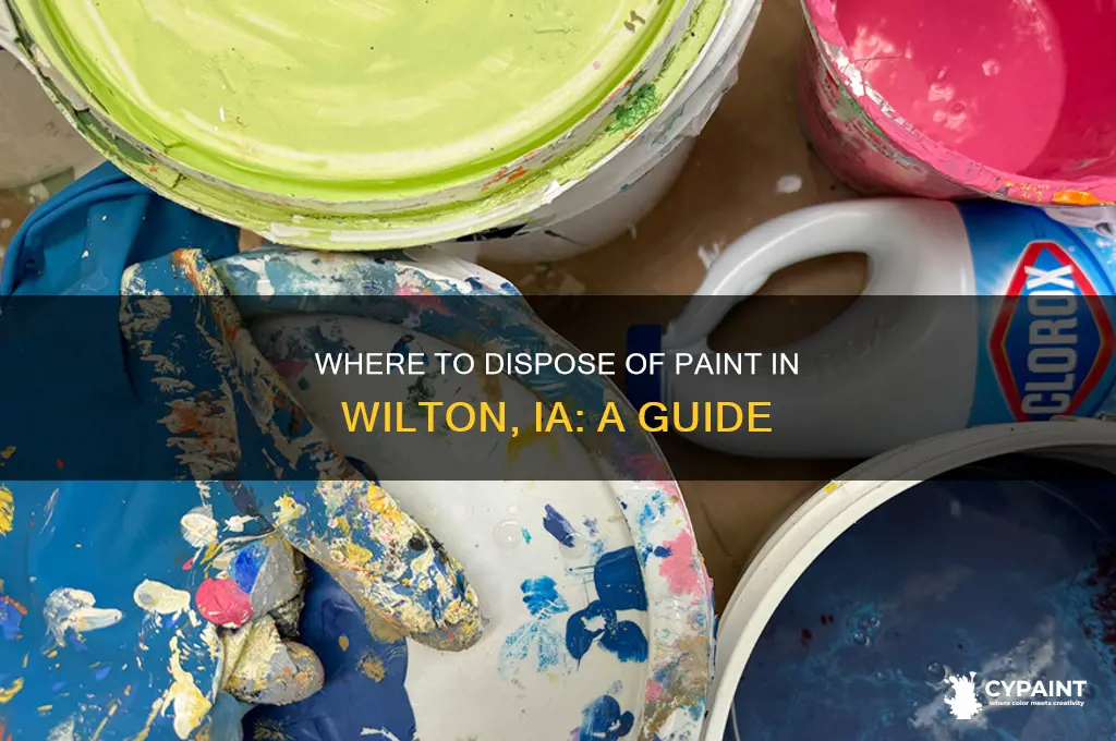 Where To Dispose Of Paint In Wilton, Ia: A Guide | CyPaint