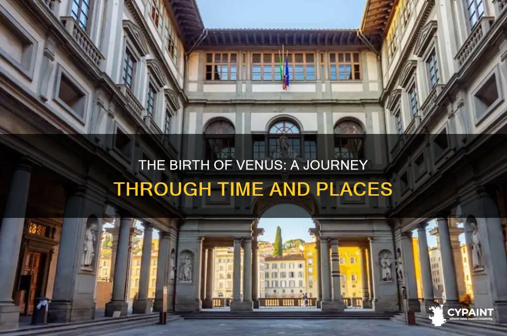 The Birth Of Venus: A Journey Through Time And Places | CyPaint