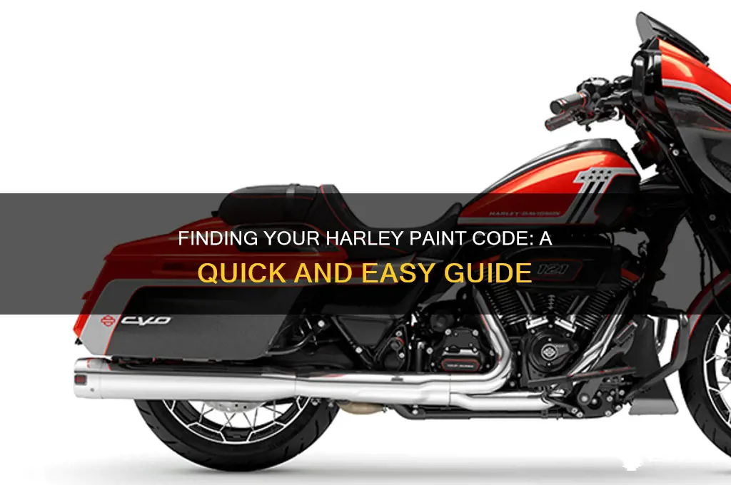 Finding Your Harley Paint Code: A Quick And Easy Guide | CyPaint