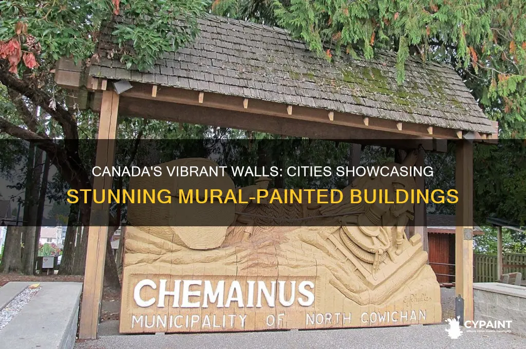 Canada's Vibrant Walls: Cities Showcasing Stunning Mural-Painted ...
