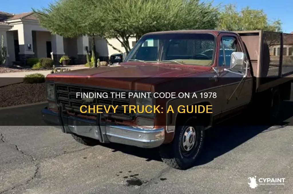 Finding The Paint Code On A 1978 Chevy Truck: A Guide | CyPaint