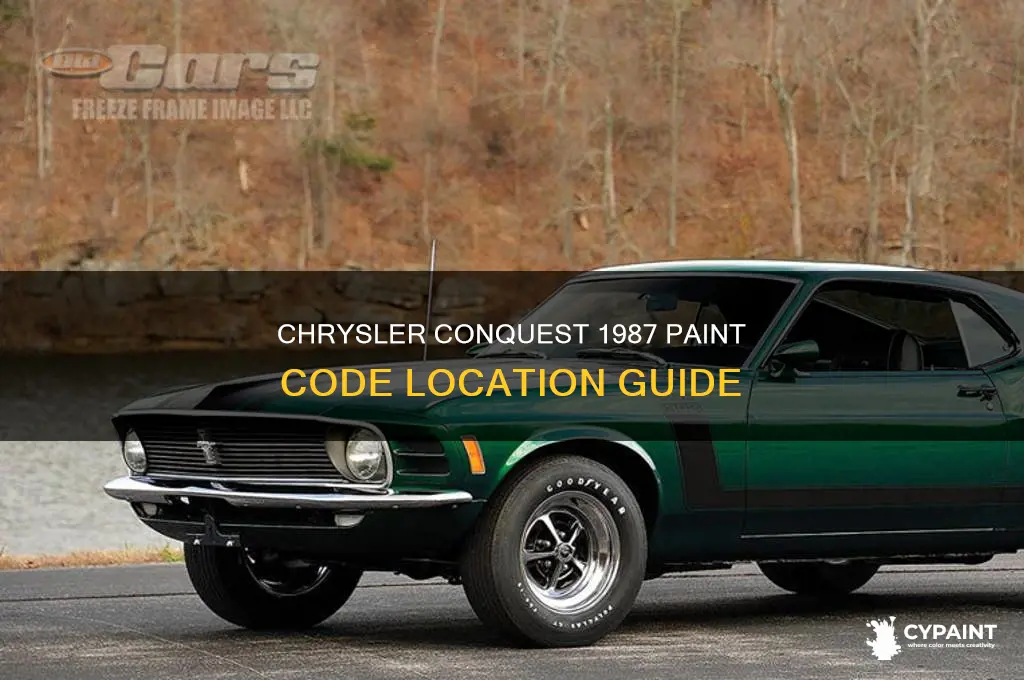 Chrysler Conquest 1987 Paint Code Location Guide | CyPaint