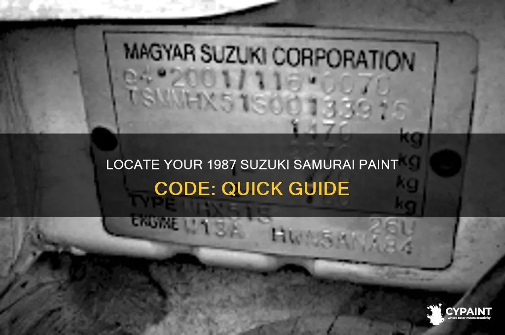 Locate Your 1987 Suzuki Samurai Paint Code: Quick Guide | CyPaint