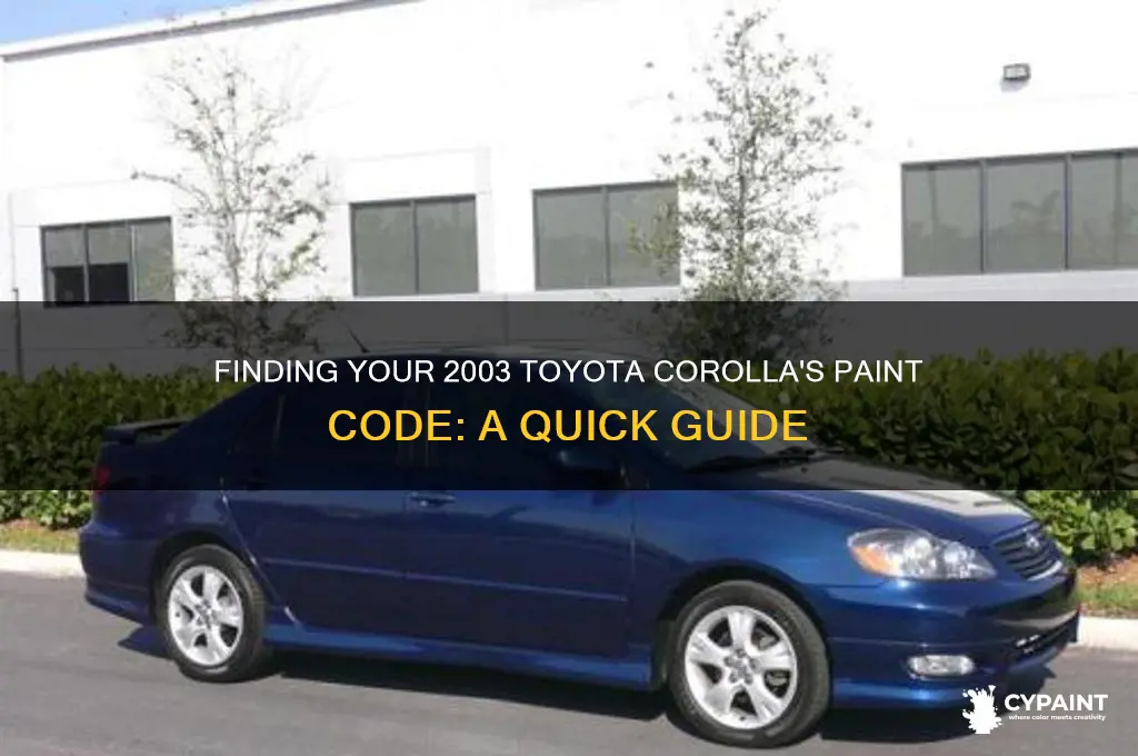 Finding Your 2003 Toyota Corolla's Paint Code: A Quick Guide | CyPaint