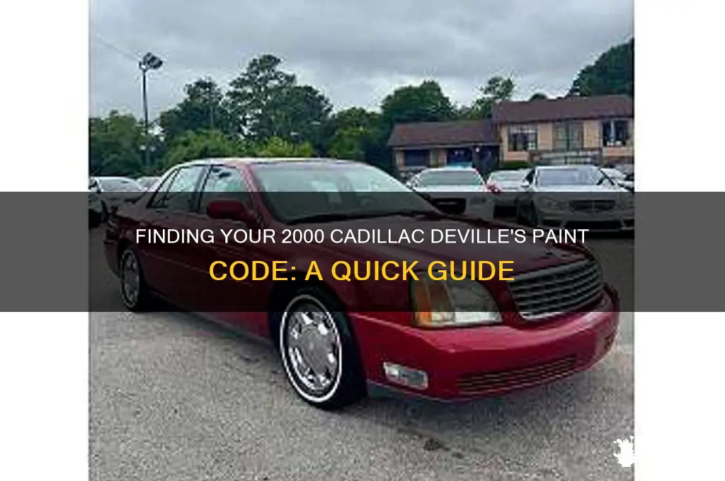 Finding Your 2000 Cadillac Deville's Paint Code: A Quick Guide | CyPaint