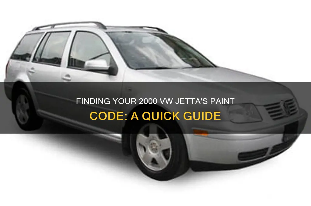 Finding Your 2000 Vw Jetta's Paint Code: A Quick Guide | CyPaint