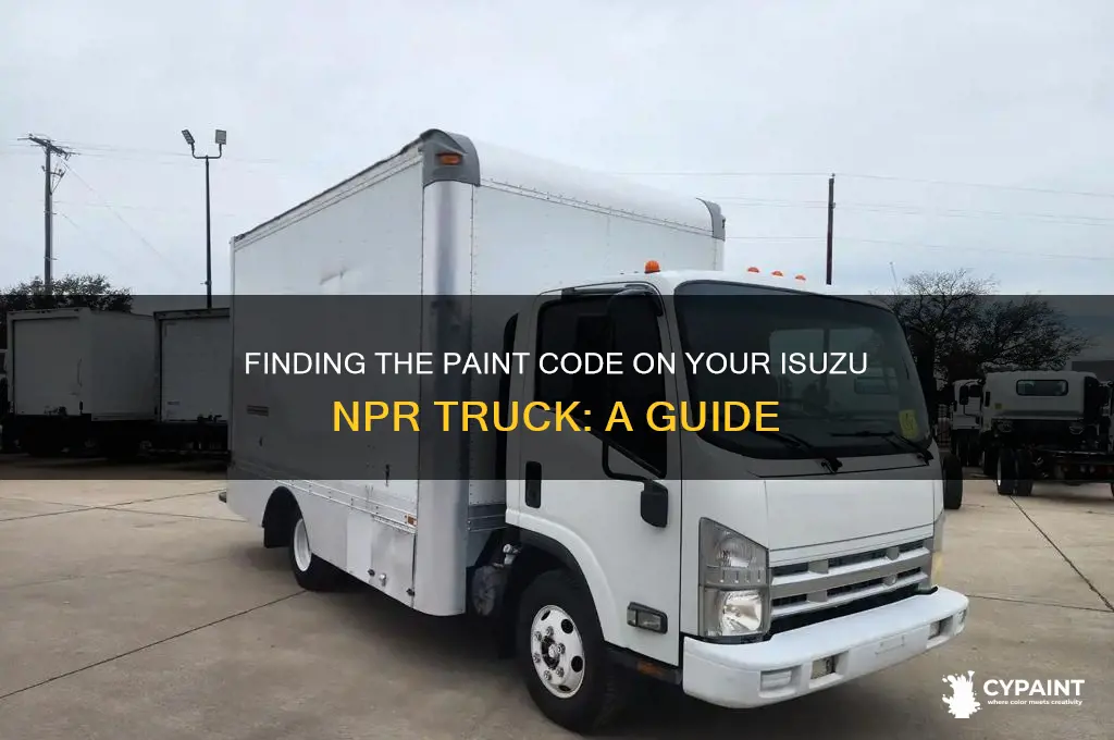 Finding The Paint Code On Your Isuzu Npr Truck: A Guide | CyPaint
