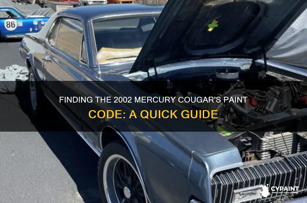 Finding The 2002 Mercury Cougar's Paint Code: A Quick Guide | CyPaint