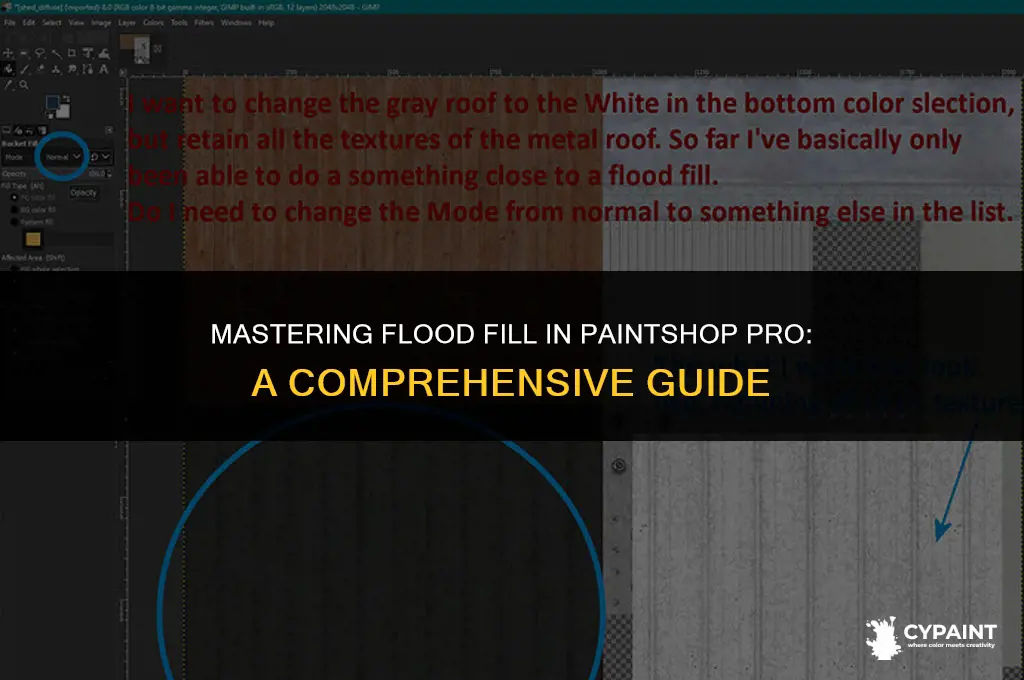 Mastering Flood Fill In Paintshop Pro: A Comprehensive Guide | CyPaint