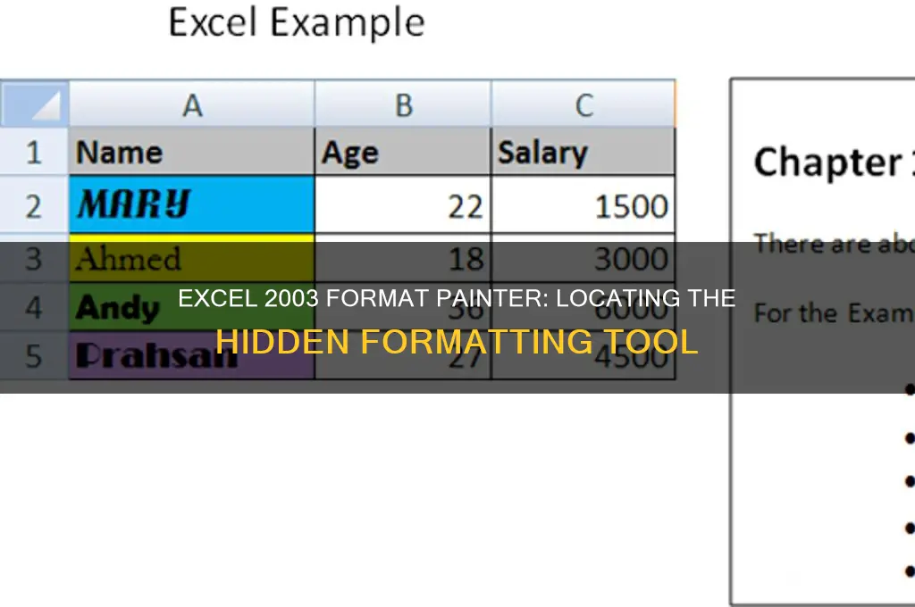 Excel 2003 Format Painter: Locating The Hidden Formatting Tool | CyPaint
