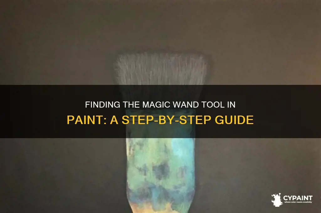 Finding The Magic Wand Tool In Paint: A Step-By-Step Guide | CyPaint