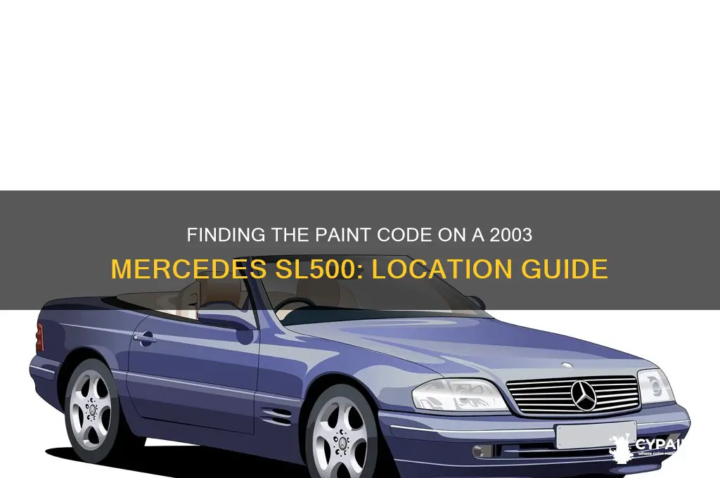 Finding The Paint Code On A 2003 Mercedes Sl500: Location Guide | CyPaint