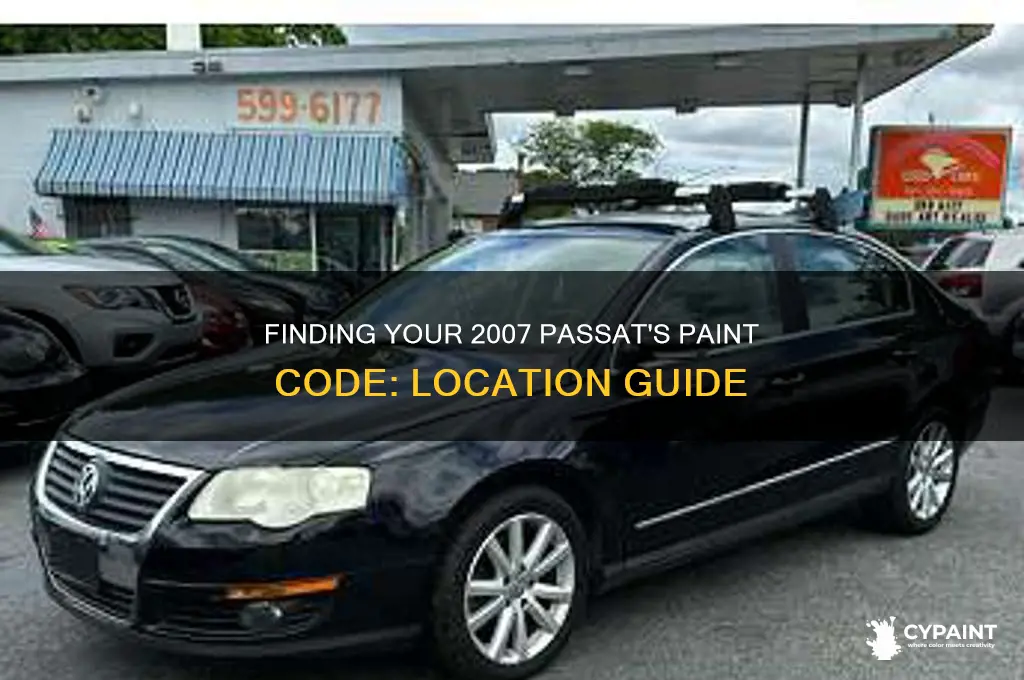 Finding Your 2007 Passat's Paint Code: Location Guide | CyPaint