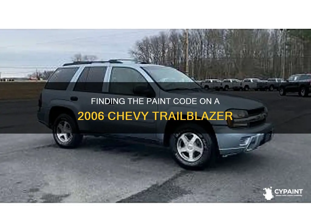 Finding The Paint Code On A 2006 Chevy Trailblazer | CyPaint