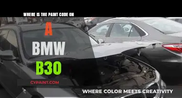 Finding Your Chevy Equinox Paint Code: A Quick Guide | CyPaint