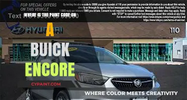 Locate Your Chevy Cruze's Paint Code: Quick And Easy Guide | CyPaint
