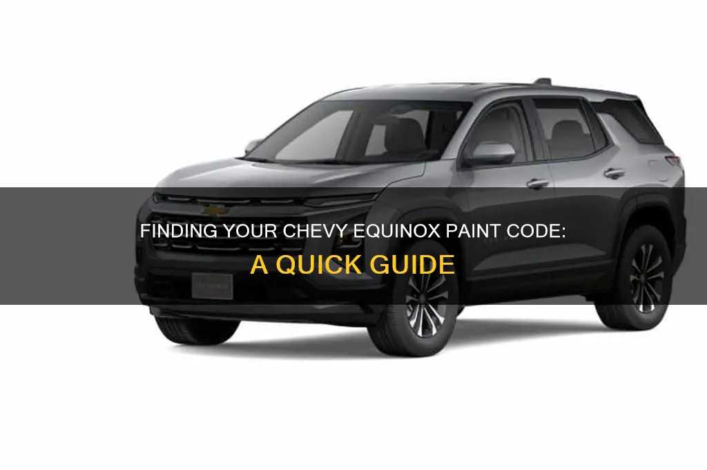 Finding Your Chevy Equinox Paint Code: A Quick Guide | CyPaint