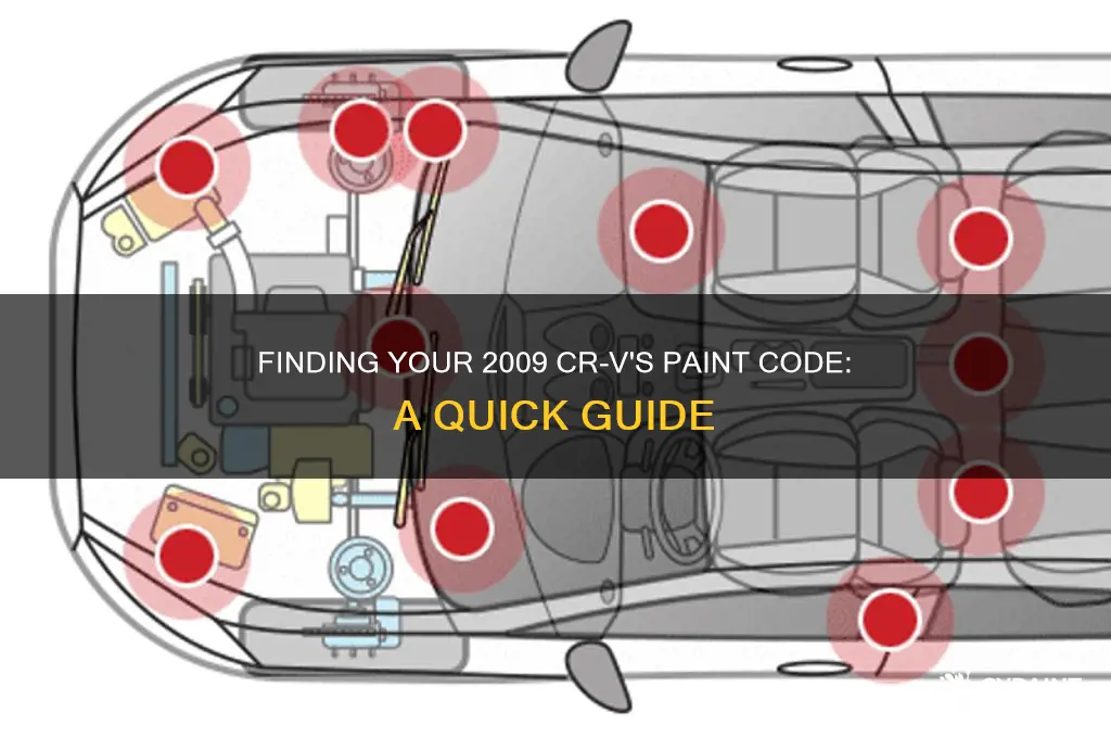 Finding Your 2009 Cr-V's Paint Code: A Quick Guide | CyPaint