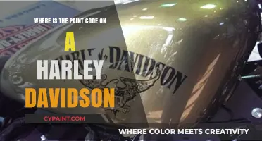 Finding Your Honda Civic's Paint Code: A Quick Guide | CyPaint