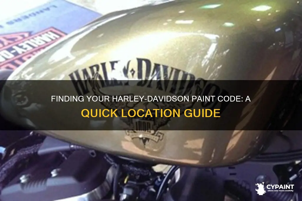Finding Your Harley-Davidson Paint Code: A Quick Location Guide | CyPaint