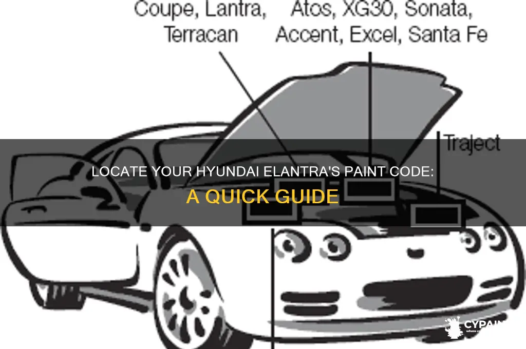 Locate Your Hyundai Elantra's Paint Code: A Quick Guide | CyPaint