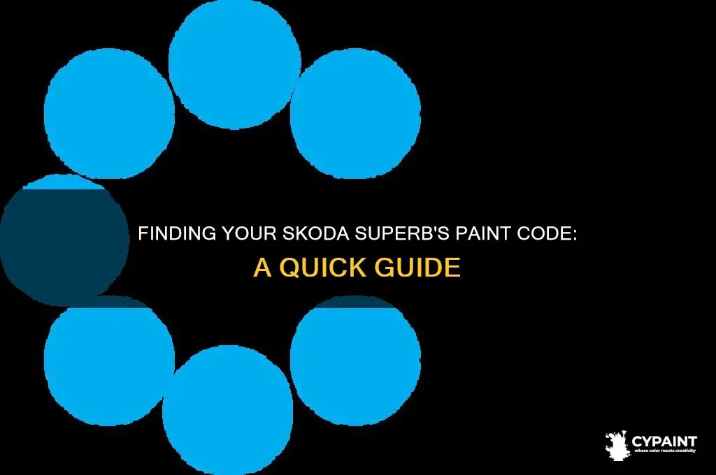 Finding Your Skoda Superb's Paint Code: A Quick Guide | CyPaint