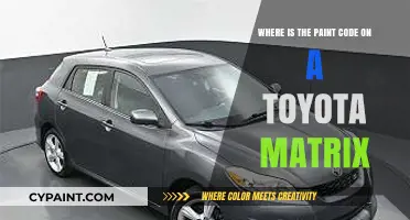Finding Your Kenworth Truck's Paint Code: A Quick Guide | CyPaint