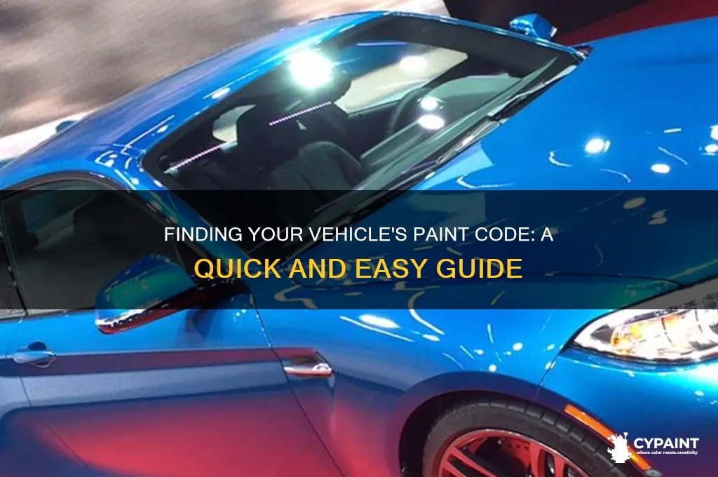 Finding Your Vehicle's Paint Code: A Quick And Easy Guide | CyPaint