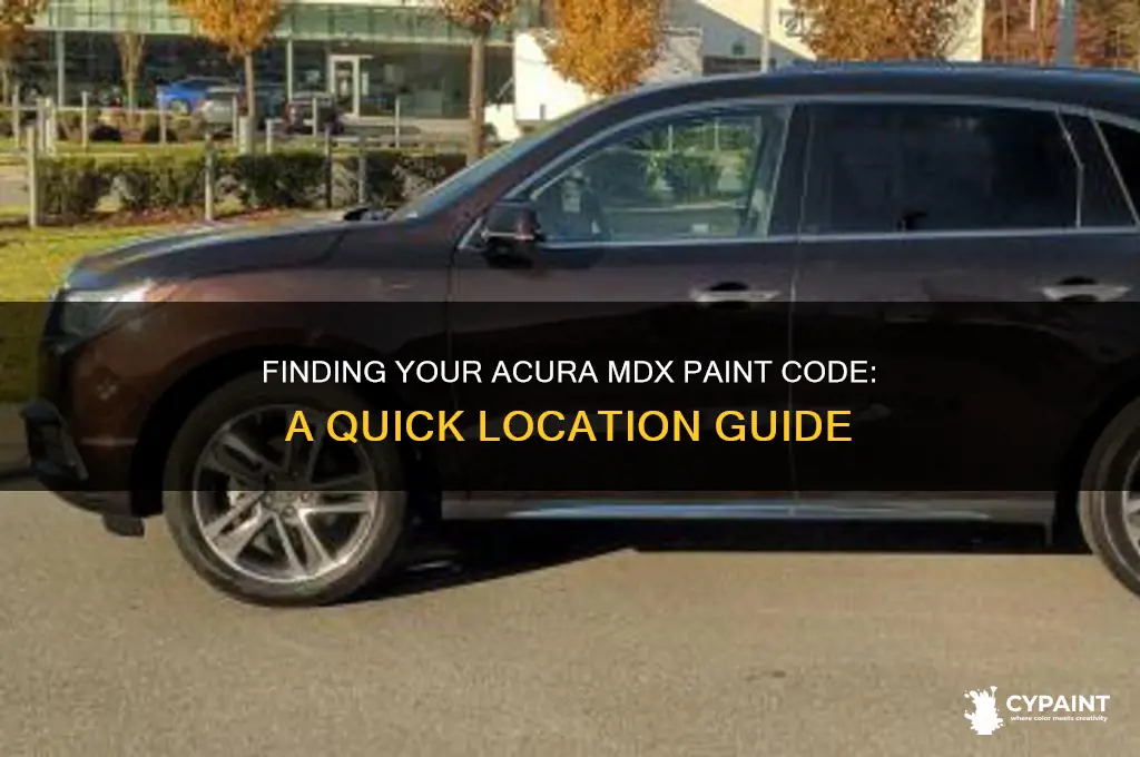 Finding Your Acura Mdx Paint Code: A Quick Location Guide | CyPaint