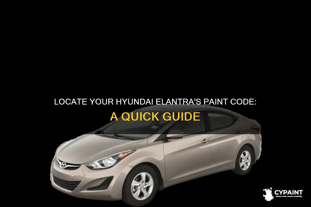 Locate Your Hyundai Elantra's Paint Code: A Quick Guide | CyPaint
