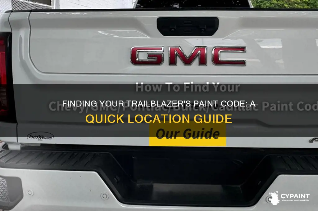 Finding Your Trailblazer's Paint Code: A Quick Location Guide | CyPaint