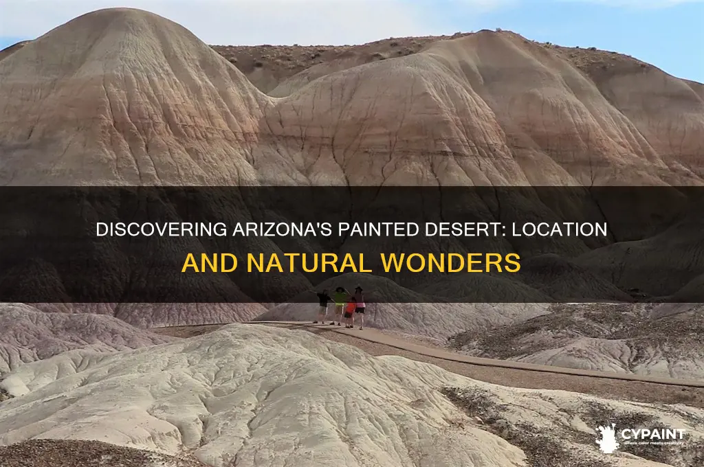 Discovering Arizona's Painted Desert: Location And Natural Wonders ...