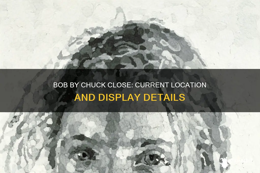 Bob By Chuck Close: Current Location And Display Details | CyPaint