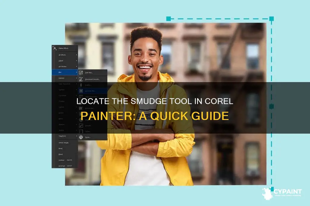 Locate The Smudge Tool In Corel Painter: A Quick Guide | CyPaint