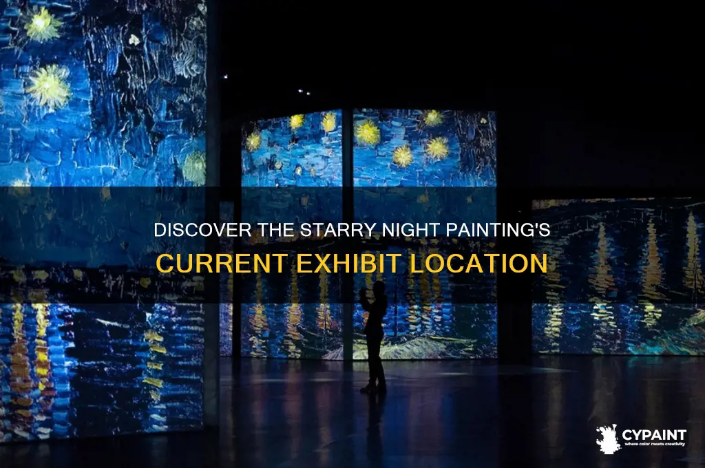 Discover The Starry Night Painting's Current Exhibit Location | CyPaint