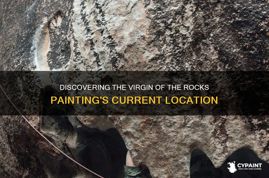 Discovering The Virgin Of The Rocks Painting's Current Location | CyPaint