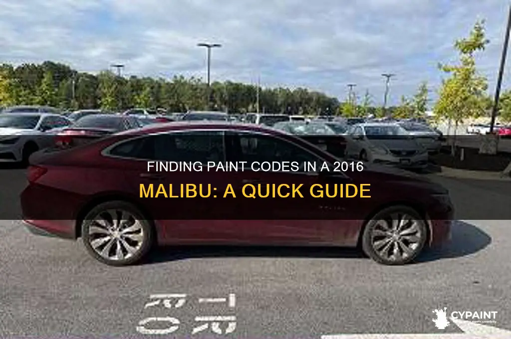 Finding Paint Codes In A 2016 Malibu: A Quick Guide | CyPaint