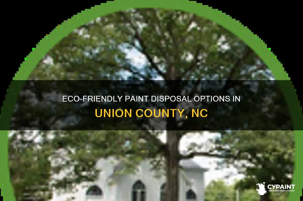 Eco-Friendly Paint Disposal Options In Union County, Nc | CyPaint