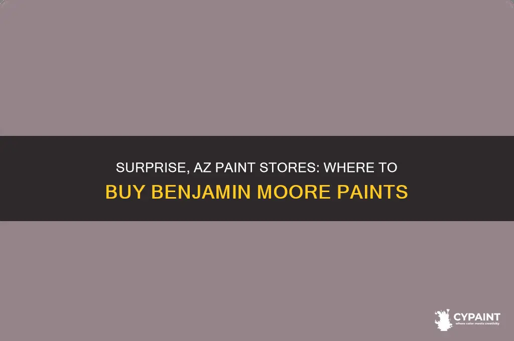 Surprise, Az Paint Stores: Where To Buy Benjamin Moore Paints | CyPaint