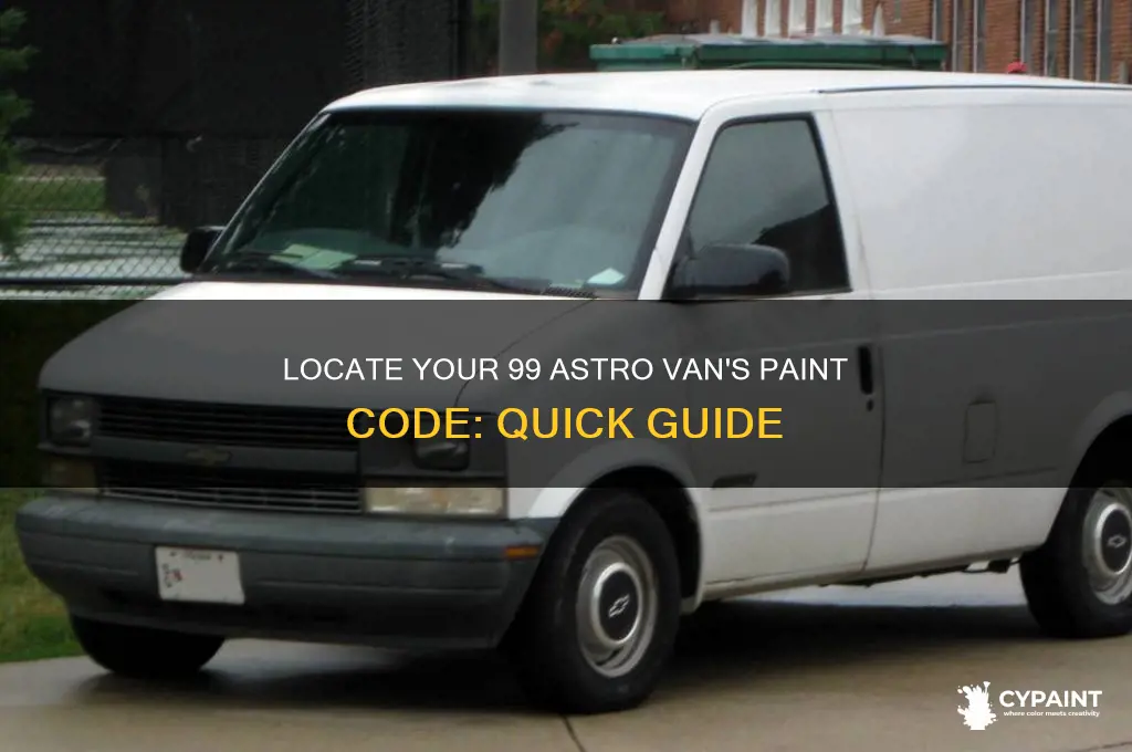 Locate Your 99 Astro Van's Paint Code: Quick Guide | CyPaint