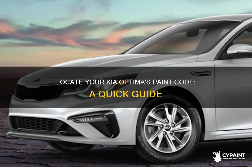 Locate Your Kia Optima's Paint Code: A Quick Guide | CyPaint