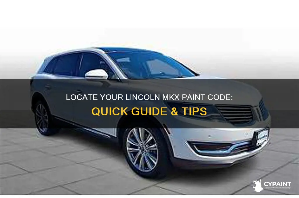 Locate Your Lincoln Mkx Paint Code: Quick Guide & Tips | CyPaint