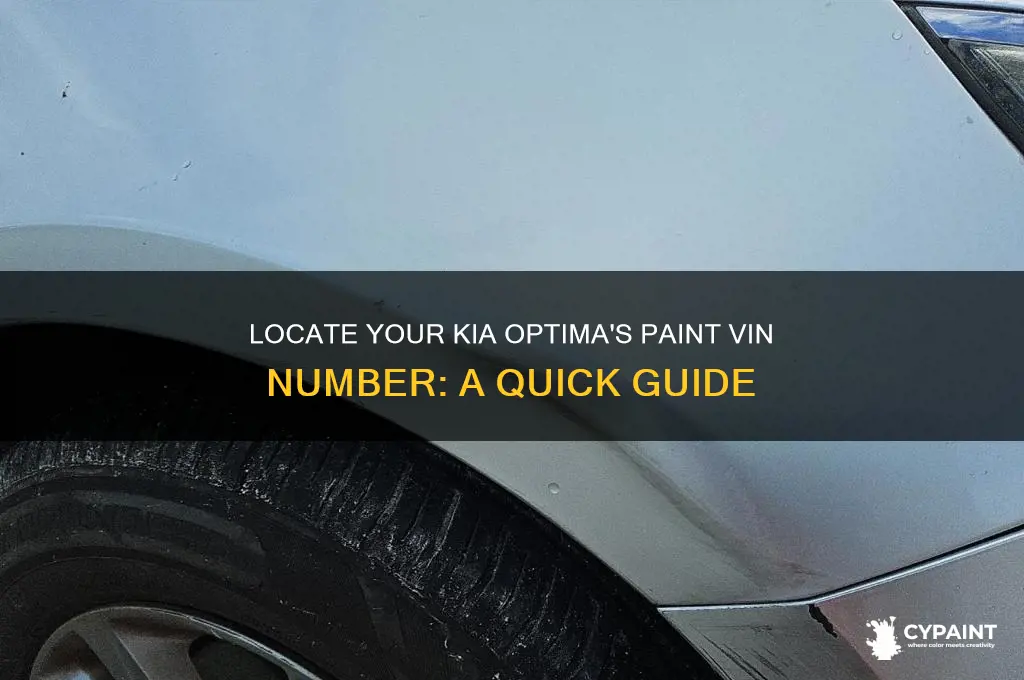 Locate Your Kia Optima's Paint Vin Number: A Quick Guide | CyPaint