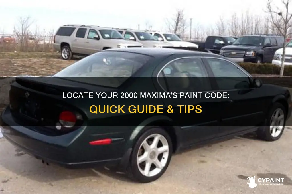 Locate Your 2000 Maxima's Paint Code: Quick Guide & Tips | CyPaint