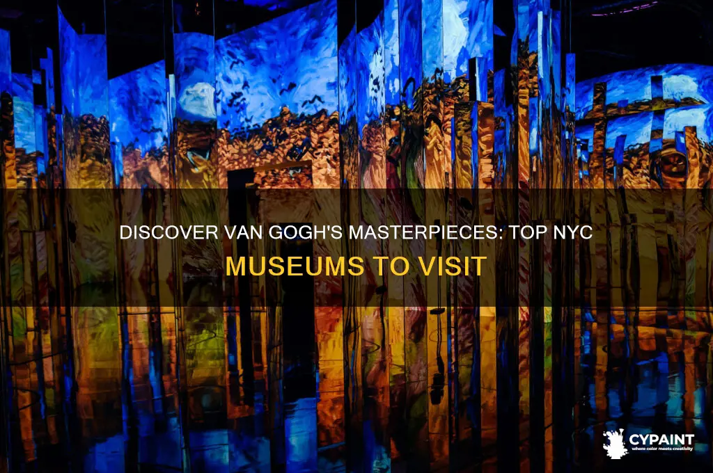 Discover Van Gogh's Masterpieces: Top Nyc Museums To Visit | CyPaint