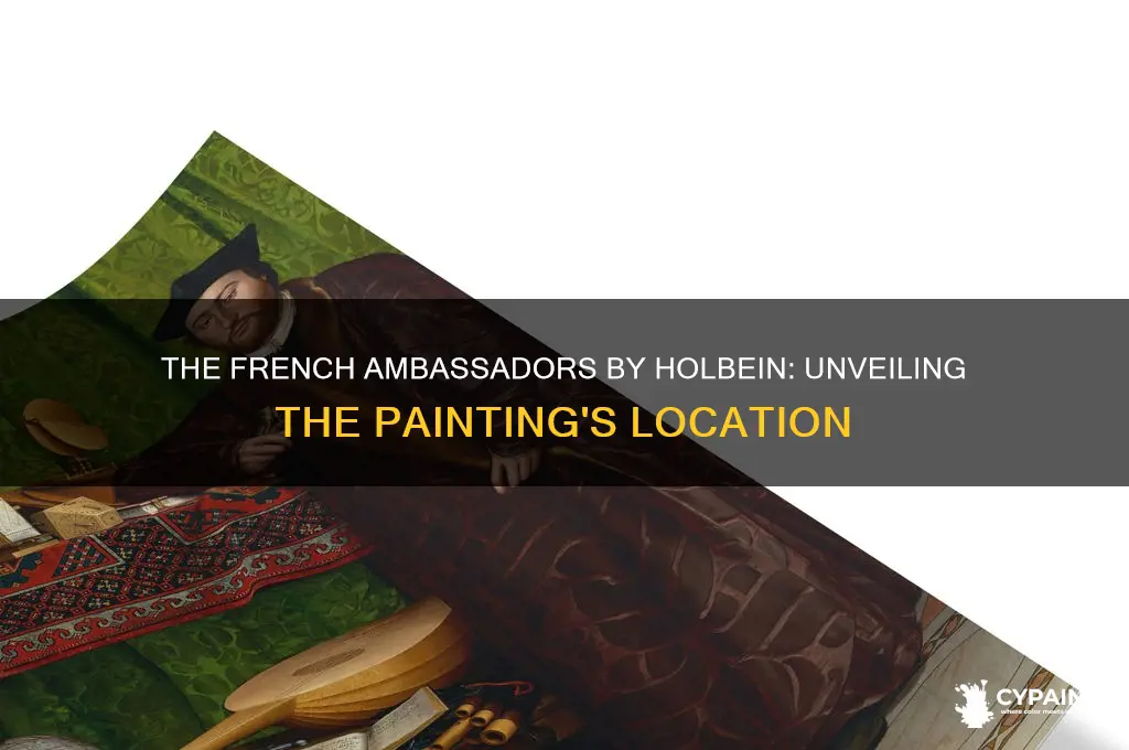 The French Ambassadors By Holbein: Unveiling The Painting's Location ...