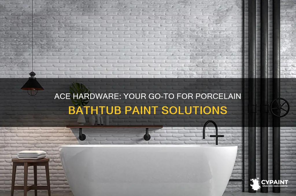 Ace Hardware: Your Go-To For Porcelain Bathtub Paint Solutions | CyPaint