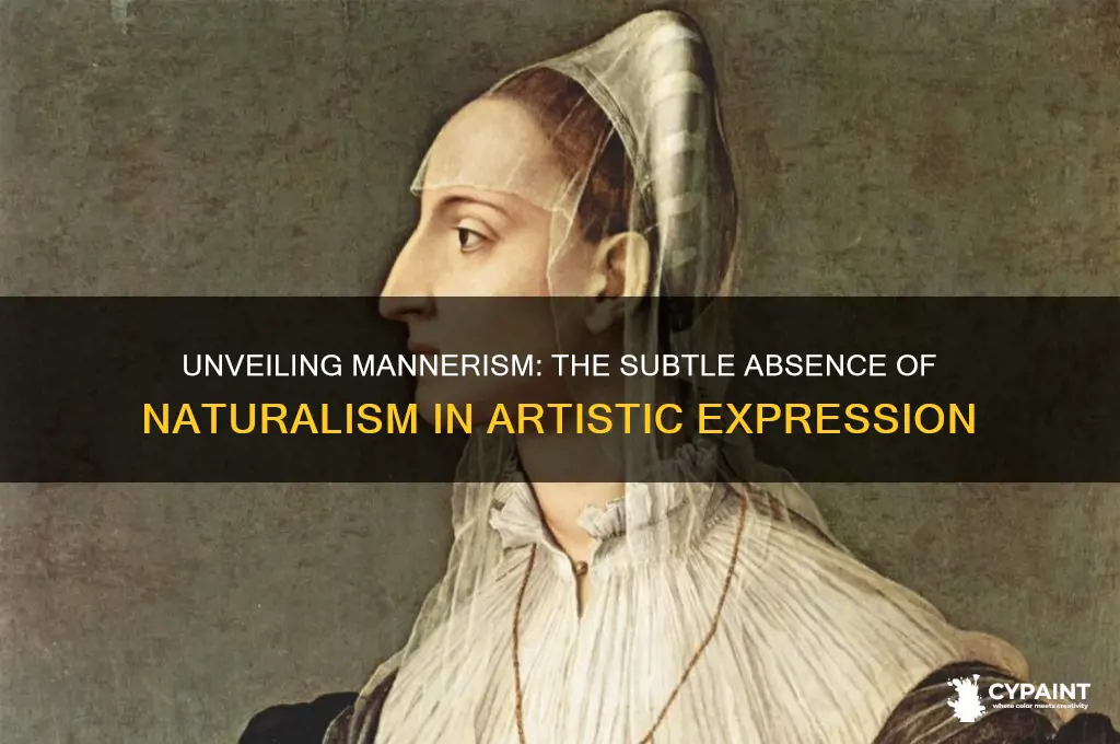Unveiling Mannerism: The Subtle Absence Of Naturalism In Artistic ...