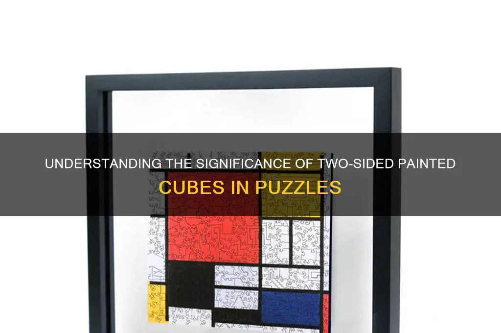 Understanding The Significance Of Two-Sided Painted Cubes In Puzzles ...