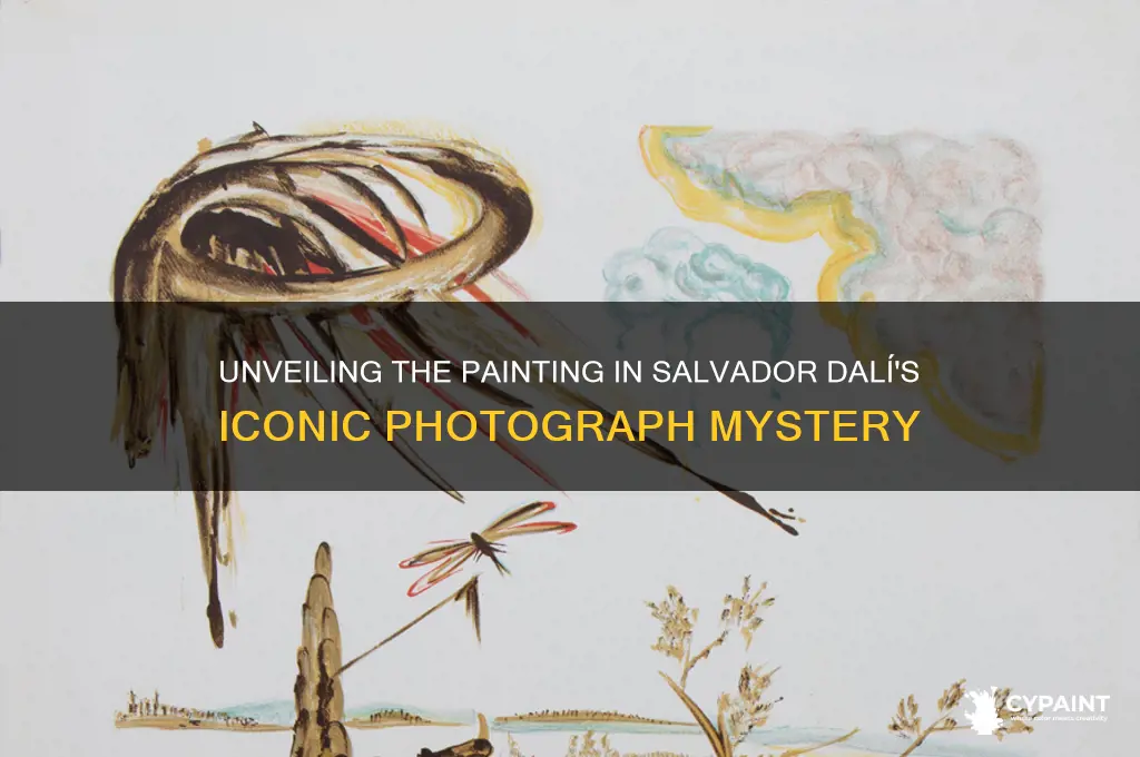 Unveiling The Painting In Salvador Dalí's Iconic Photograph Mystery ...